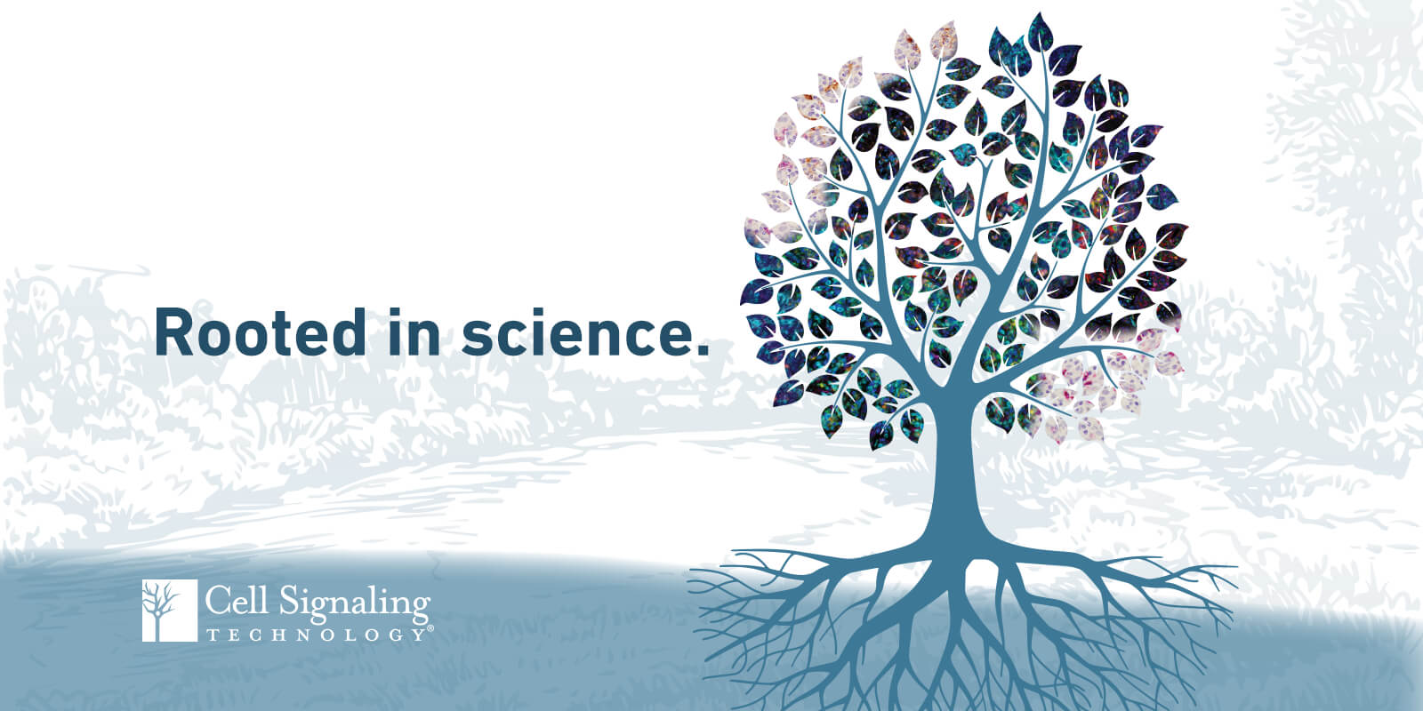 Reproducibility In Research Science Join The Discussion