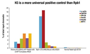 How to Use Positive and Negative Controls for Better ChIP Results