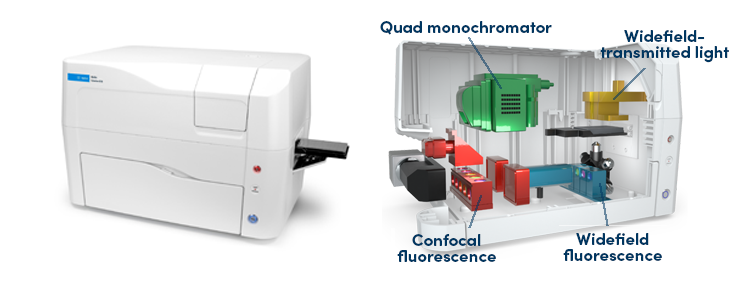 High-Throughput 3D Assays: Analysis of TGF-β Signaling