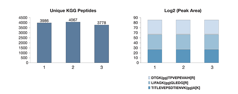How to Use Control Peptides with PTMScan | Proteomics Reproducibility