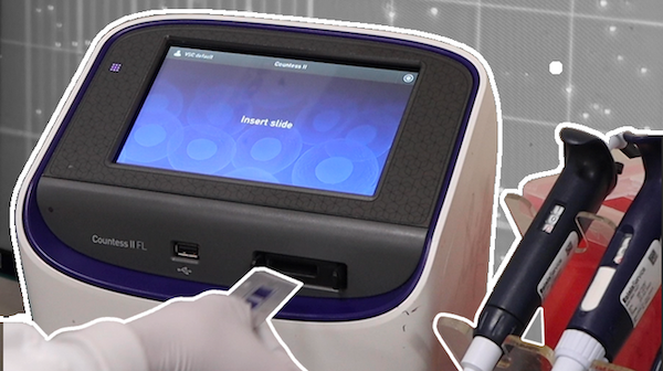 How to Count Cells with a Hemocytometer or Automated Cell Counter
