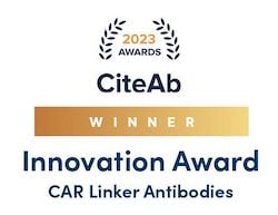 Anti-CAR Linker Antibodies for CAR Detection in CAR-T Research
