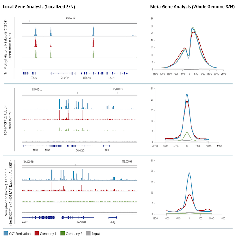 Support Reagents for Chromatin Profiling: ChIP, CUT&RUN & CUT&Tag