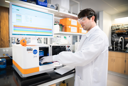 How Are CST Antibodies Validated for Simple Western? | +500 Abs