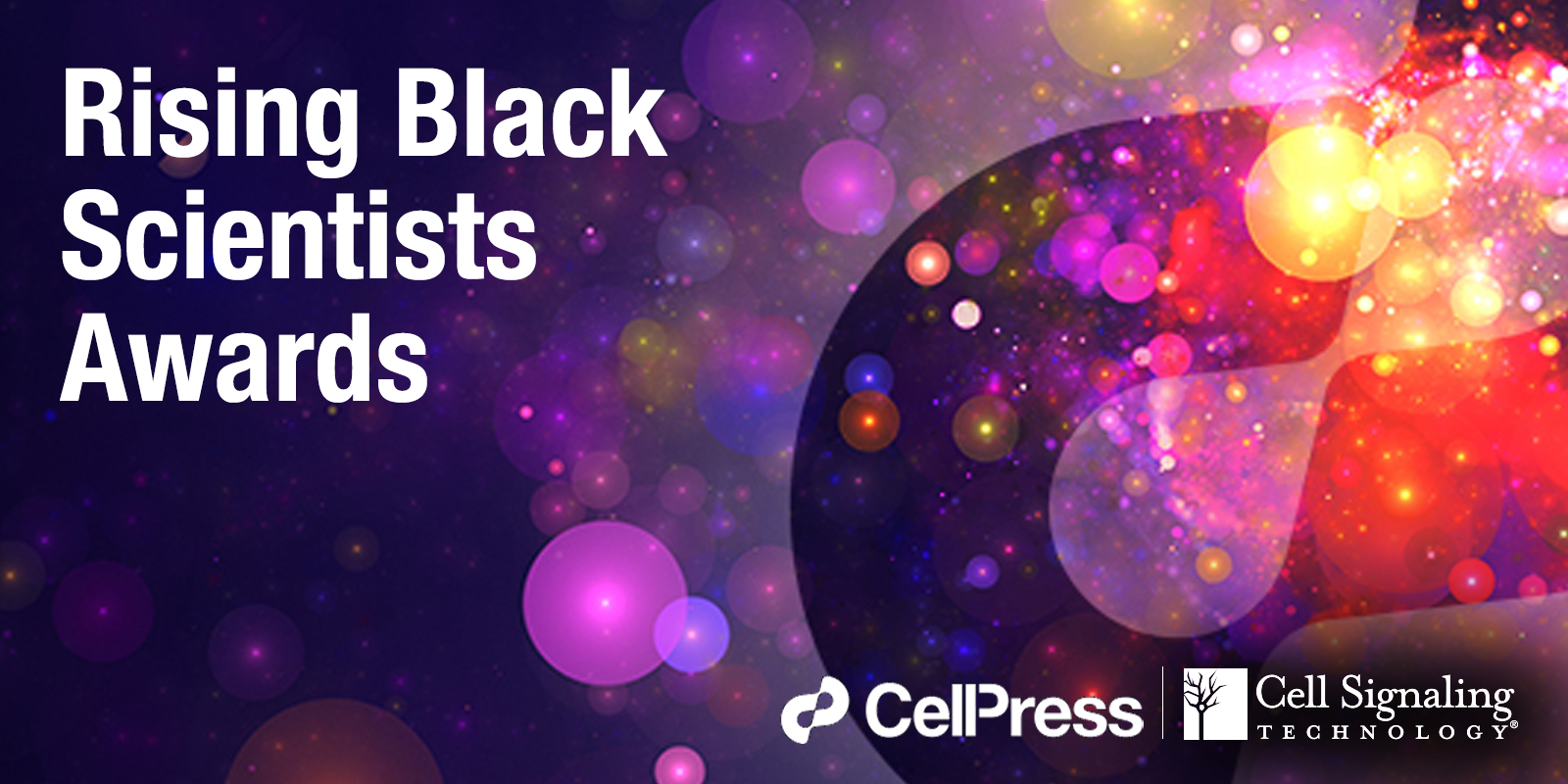 The First Rising Black Scientists Awards Recipients | CST Blog