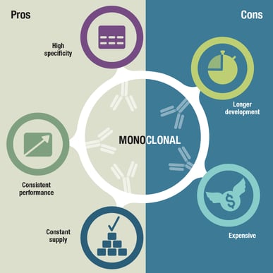 Antibody Essentials Part 4: Polyclonal vs Monoclonal Antibodies