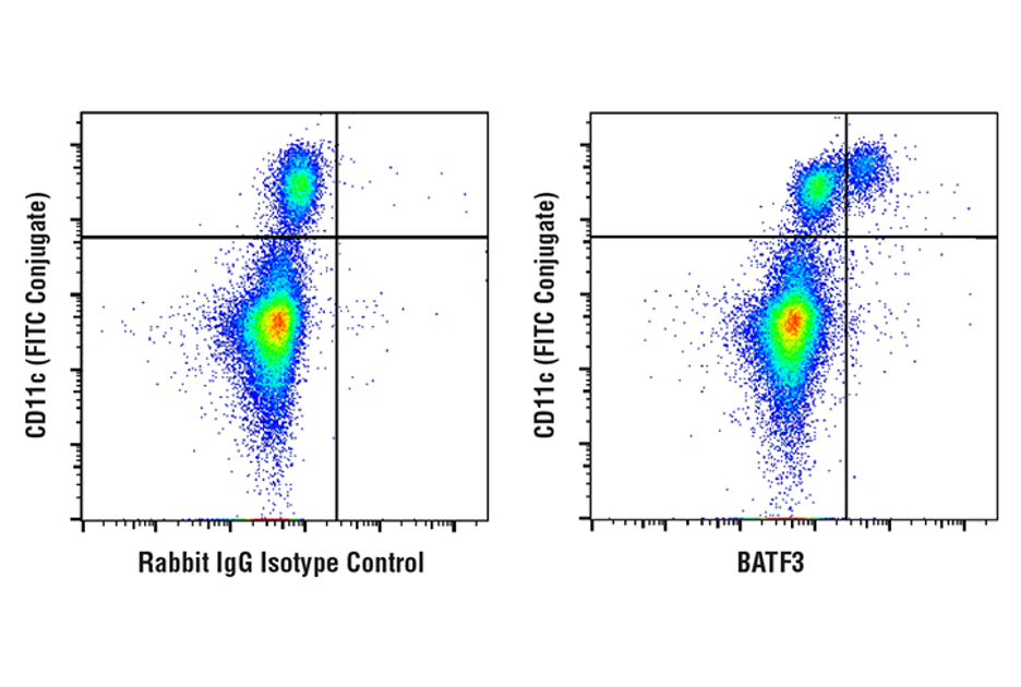 Antibody Staining Guide for Flow Cytometry | CST Blog