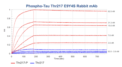 Validating a P-Tau 217 Antibody for Alzheimer’s Research | ELISA, WB
