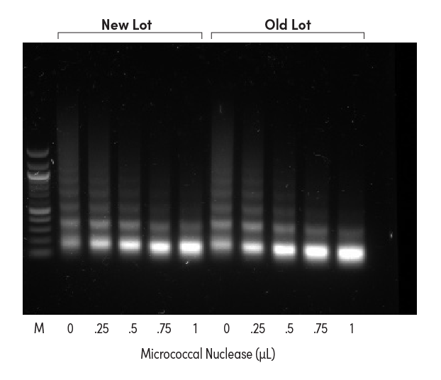 Support Reagents for Chromatin Profiling: ChIP, CUT&RUN & CUT&Tag