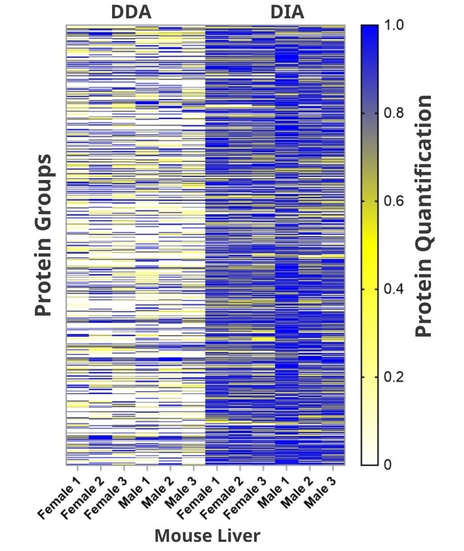 What's the difference between DIA & DDA proteomics?