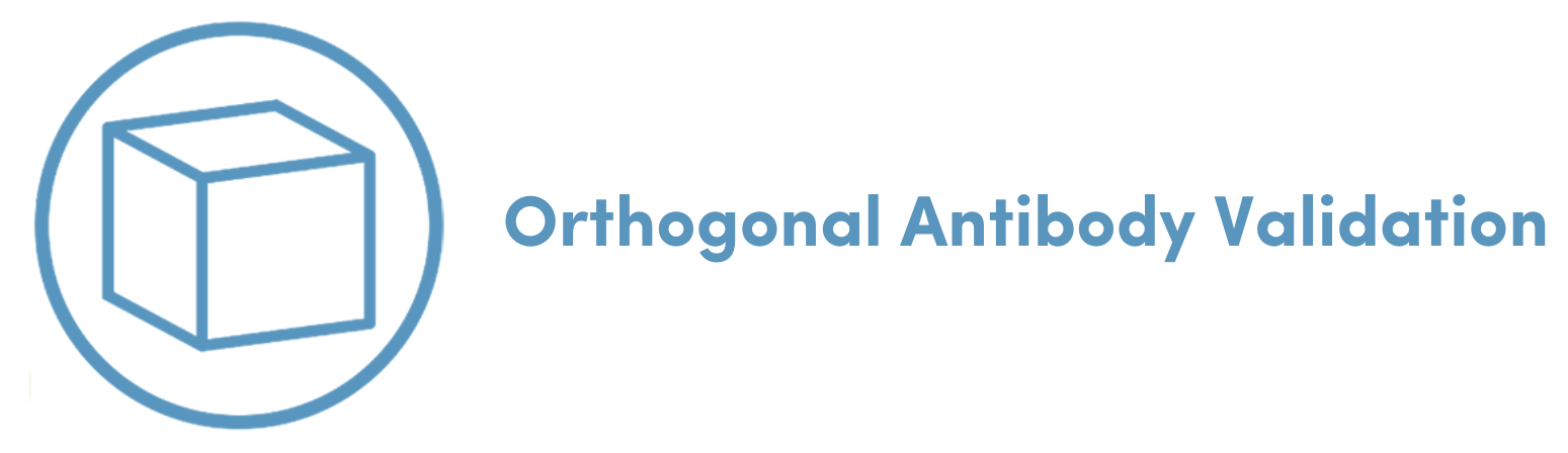 Orthogonal Antibody Validation | Antibody Essentials
