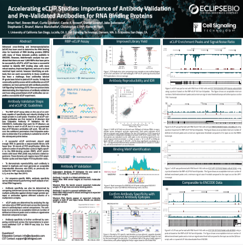 Mapping RNA-Protein Interactions with RBP-eCLIP | RNA Biology