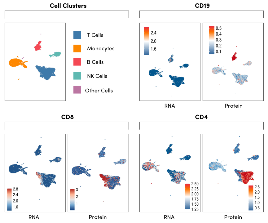 Do mRNA and protein levels correlate? Not necessarily. | CST Blog
