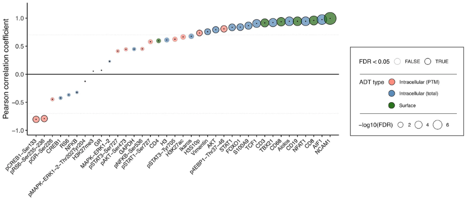 Do mRNA and protein levels correlate? Not necessarily. | CST Blog