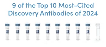 CiteAb Top-Ranked Recombinant Antibodies