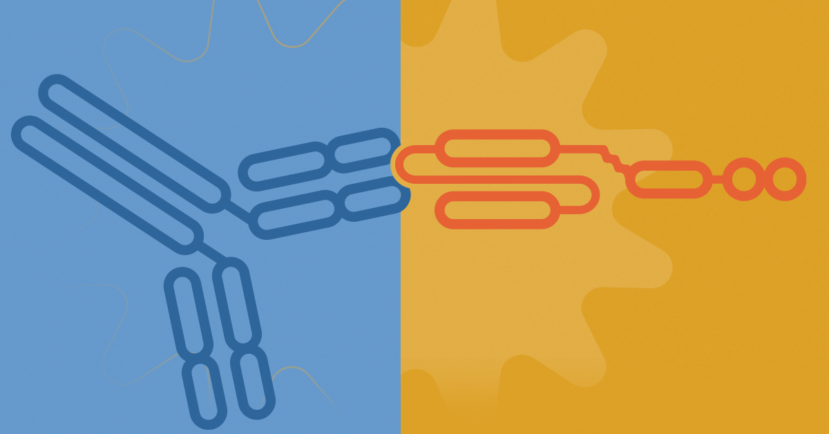 CAR Linker Antibodies for Whitlow/218 & G4S | CAR-T Cell Research