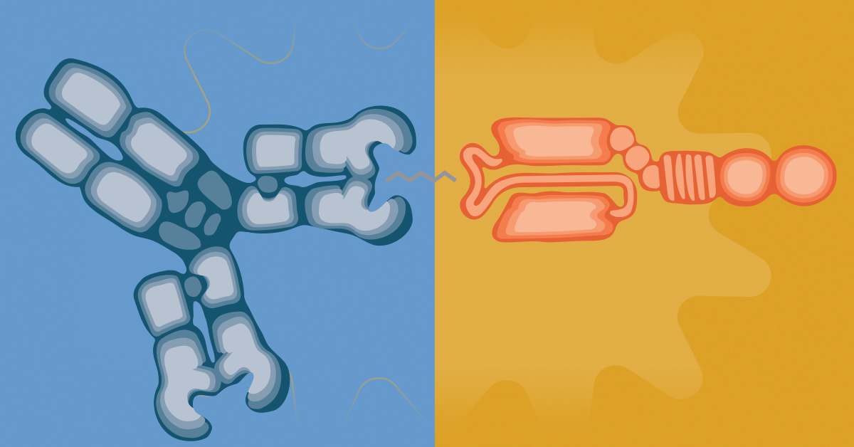 Anti-CAR Linker mAbs: CAR Detection Reagents for CAR-T Therapy