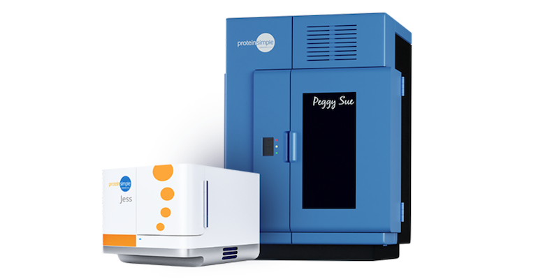 针对 Simple Western 验证过的 CST 抗体