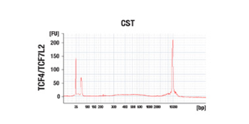 CUT&Tag DNA Library Yield: What to Do if Yours Is Too Low to Detect