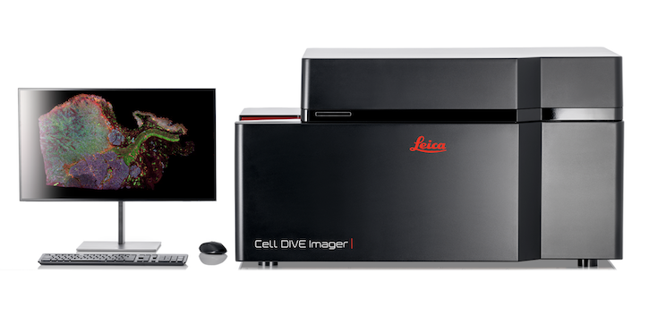 经 Leica Cell DIVE 多重分析成像仪验证的抗体