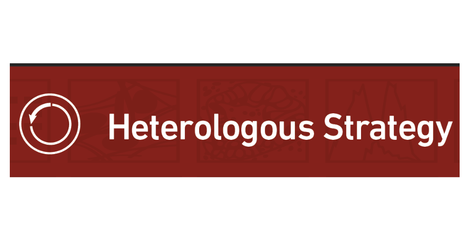 Heterologous Antibody Validation: Cross-Reactivity & Specificity