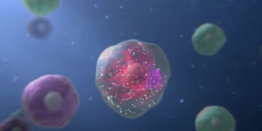 Antibody Staining Guide for Flow Cytometry | CST Blog