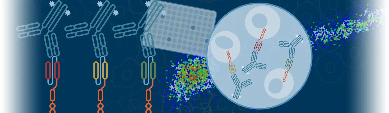 Research Round-Up: Anti-CAR Linker Antibodies in the Literature