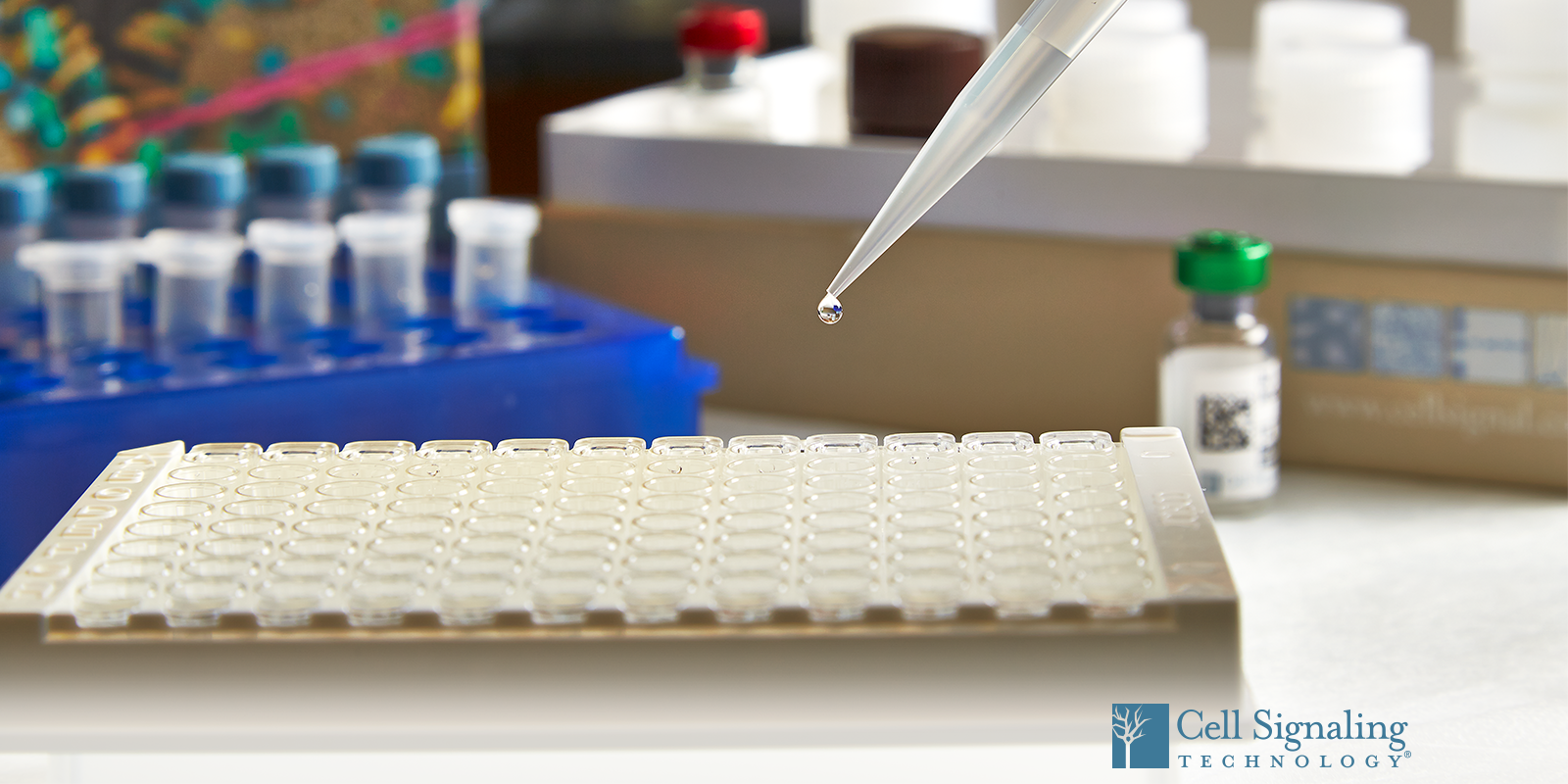 与 CST 产品科学家的问答